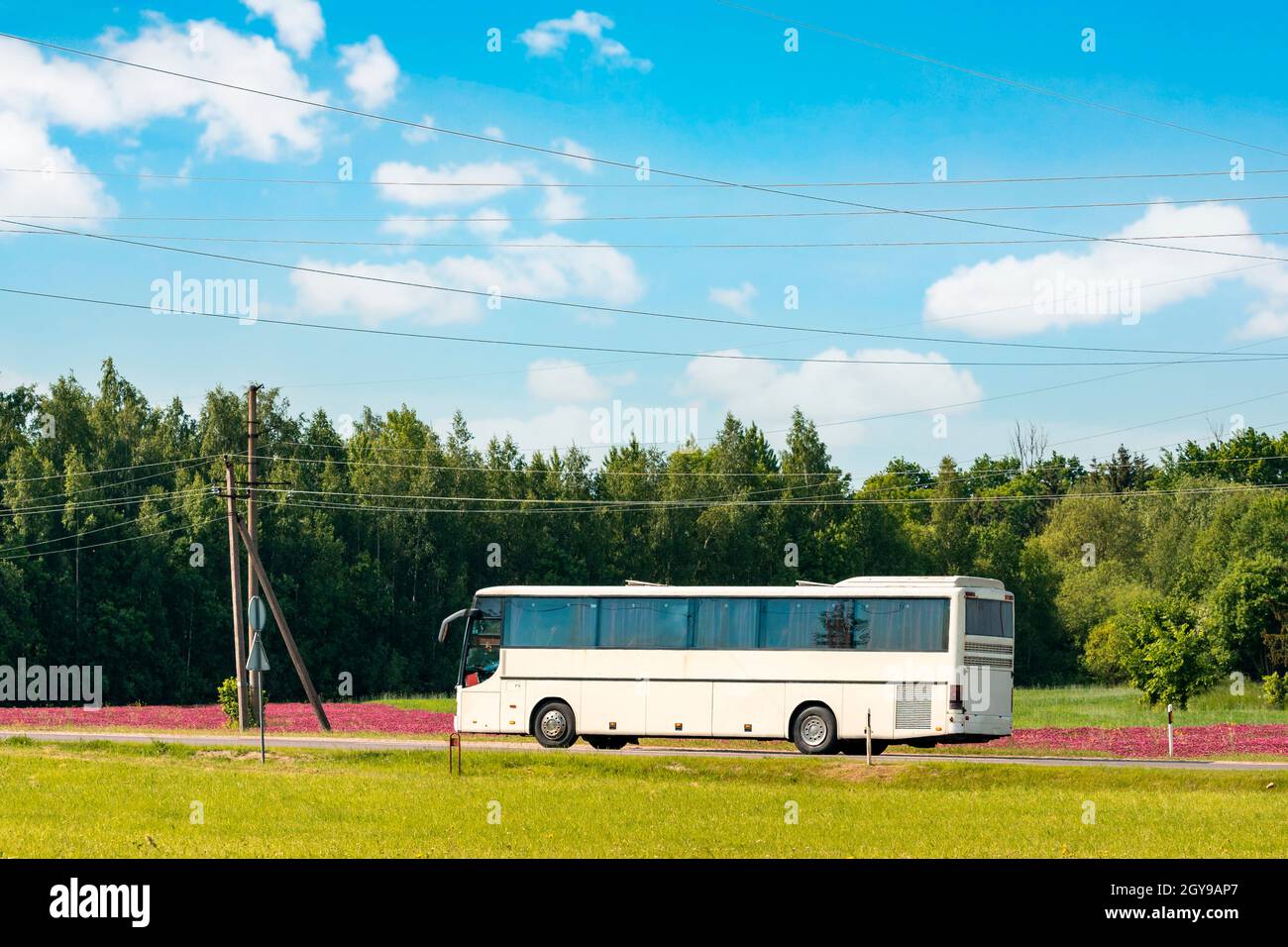 The white bus traveling on the road in a rural landscape under a blue ...