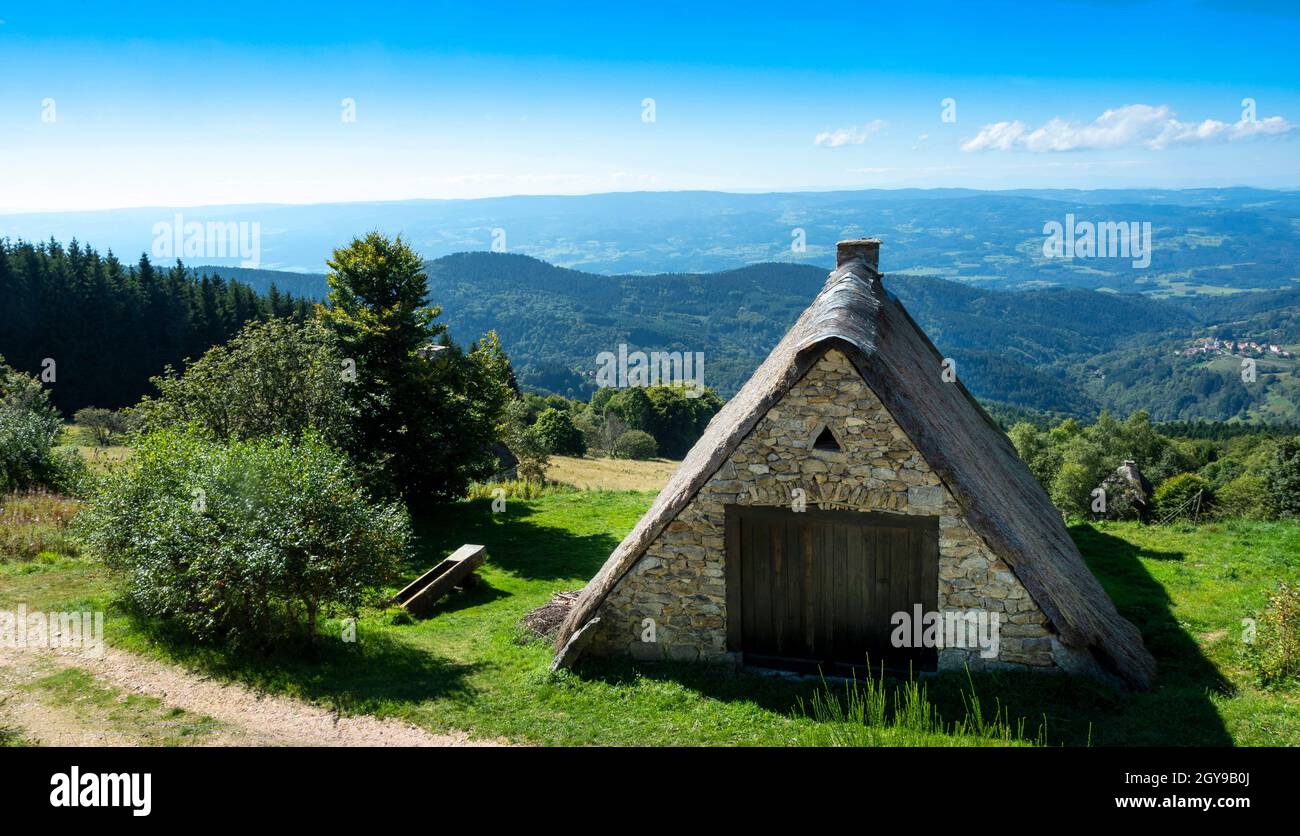Farm (Jasserie), summer pasture specific to the Forez mountains at col ...