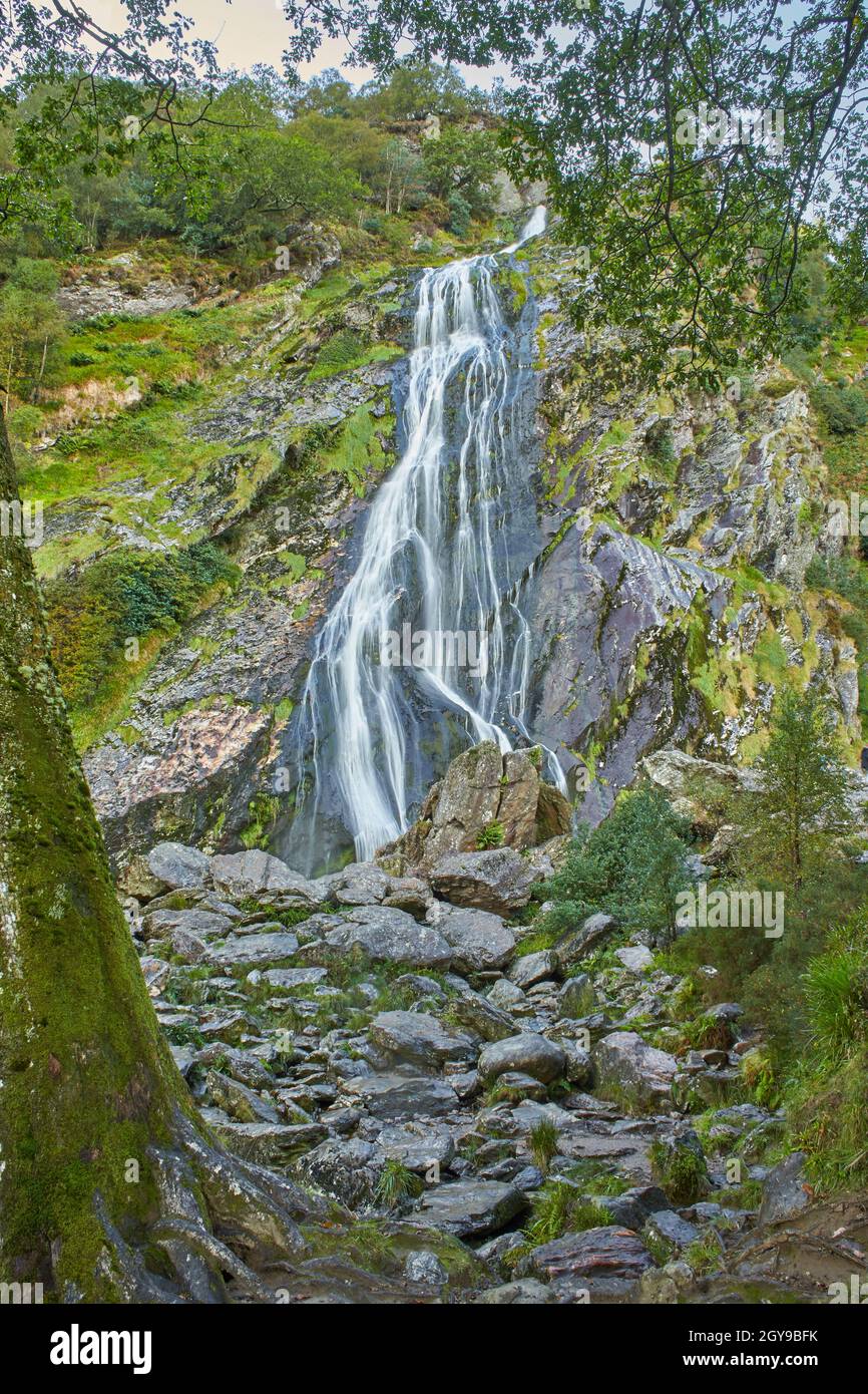 Majestic water cascade of Powerscourt Waterfall, the highest waterfall ...