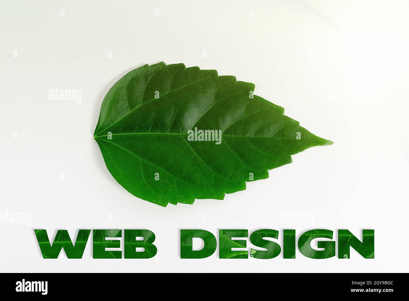 Environmenta High Resolution Stock Photography and Images - Alamy