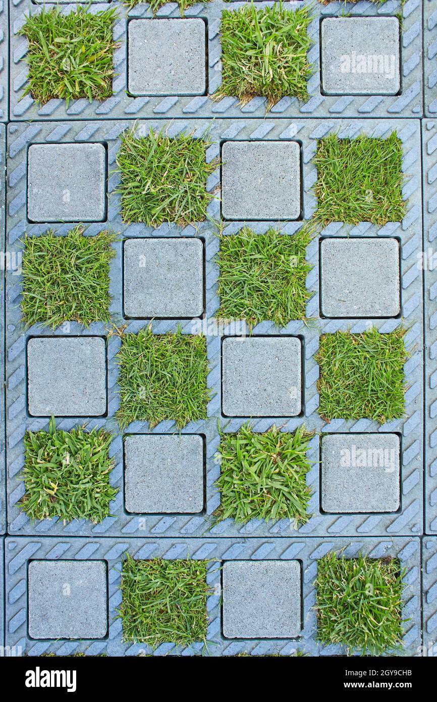Sample of brick pavement with grass Stock Photo - Alamy