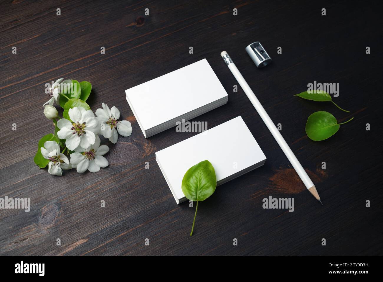 Blank business cards, pencil, sharpener and spring flowers on wooden ...