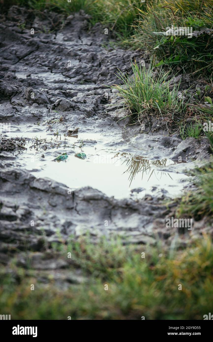 Puddle water lawn hi-res stock photography and images - Alamy