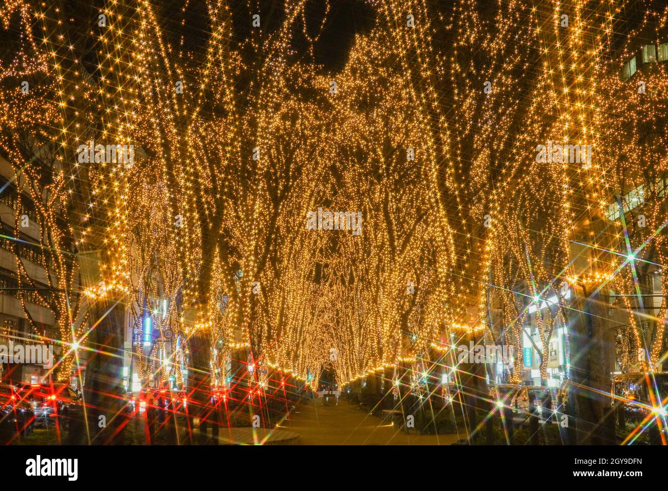 Illumination of the pageant of Sendai light. Shooting Location: Sendai ...