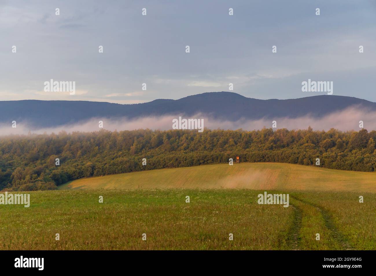 Vihorlat hi-res stock photography and images - Alamy
