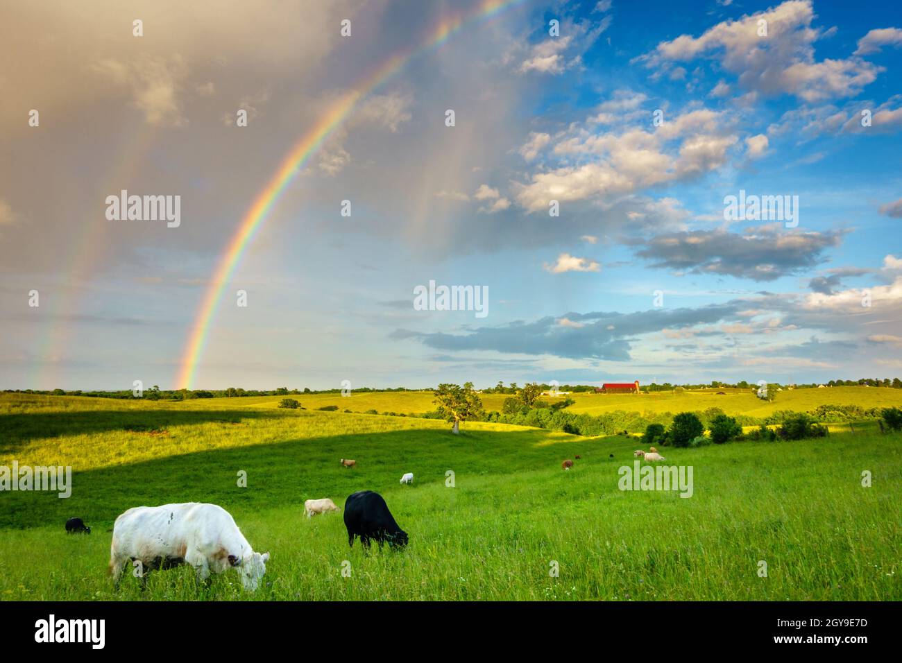 Scenic view of Central Kentucky countryside with double rainbow after ...