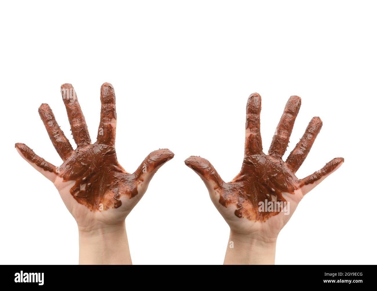 two female hands are soiled in melted dark chocolate on a white ...