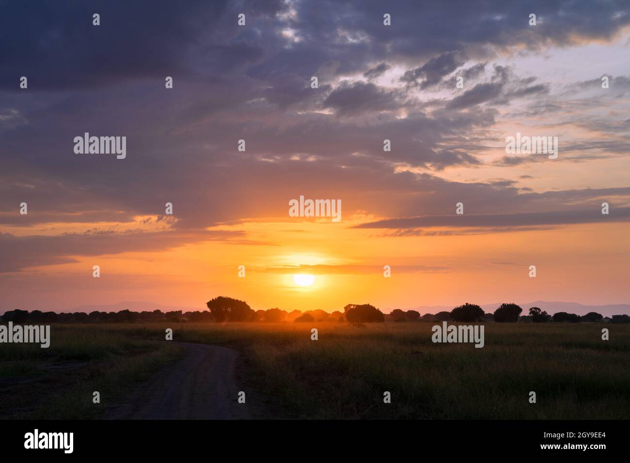 Panoramic image of the landscape of Queen Elizabeth National Park at ...