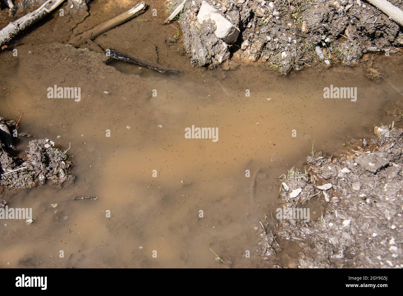 Path after rain hi-res stock photography and images - Alamy