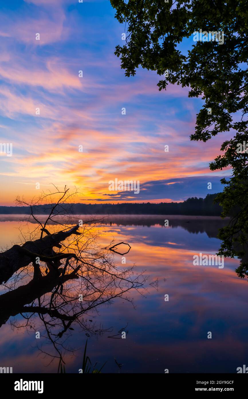 Twilight trees and ponds hi-res stock photography and images - Alamy