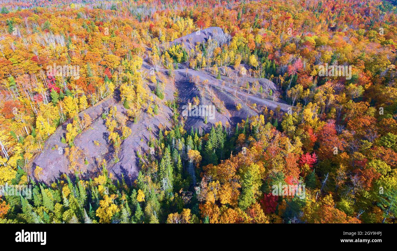 Fall forest with a dark mountain and yellow and orange and red aspen ...