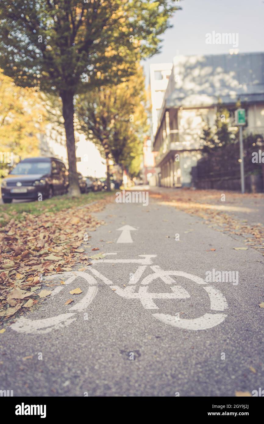 Urban cycle track, autumn with leaves on the floor Stock Photo - Alamy