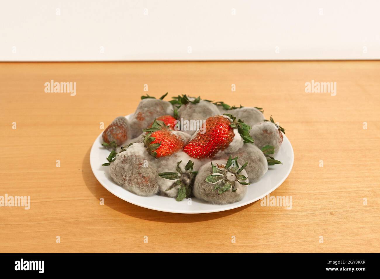 Decay rotting mouldy strawberries hi-res stock photography and images ...
