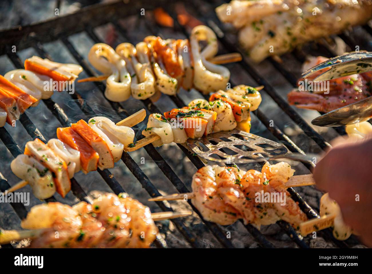 Raw fish skewers hi-res stock photography and images - Alamy
