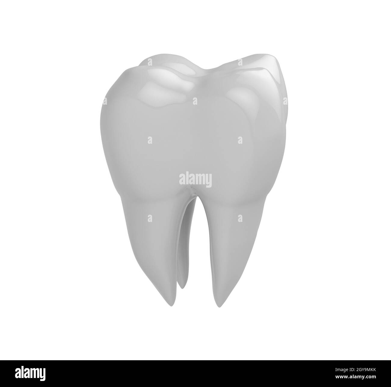 Isolated clean tooth on white background. 3D Rendering Stock Photo - Alamy