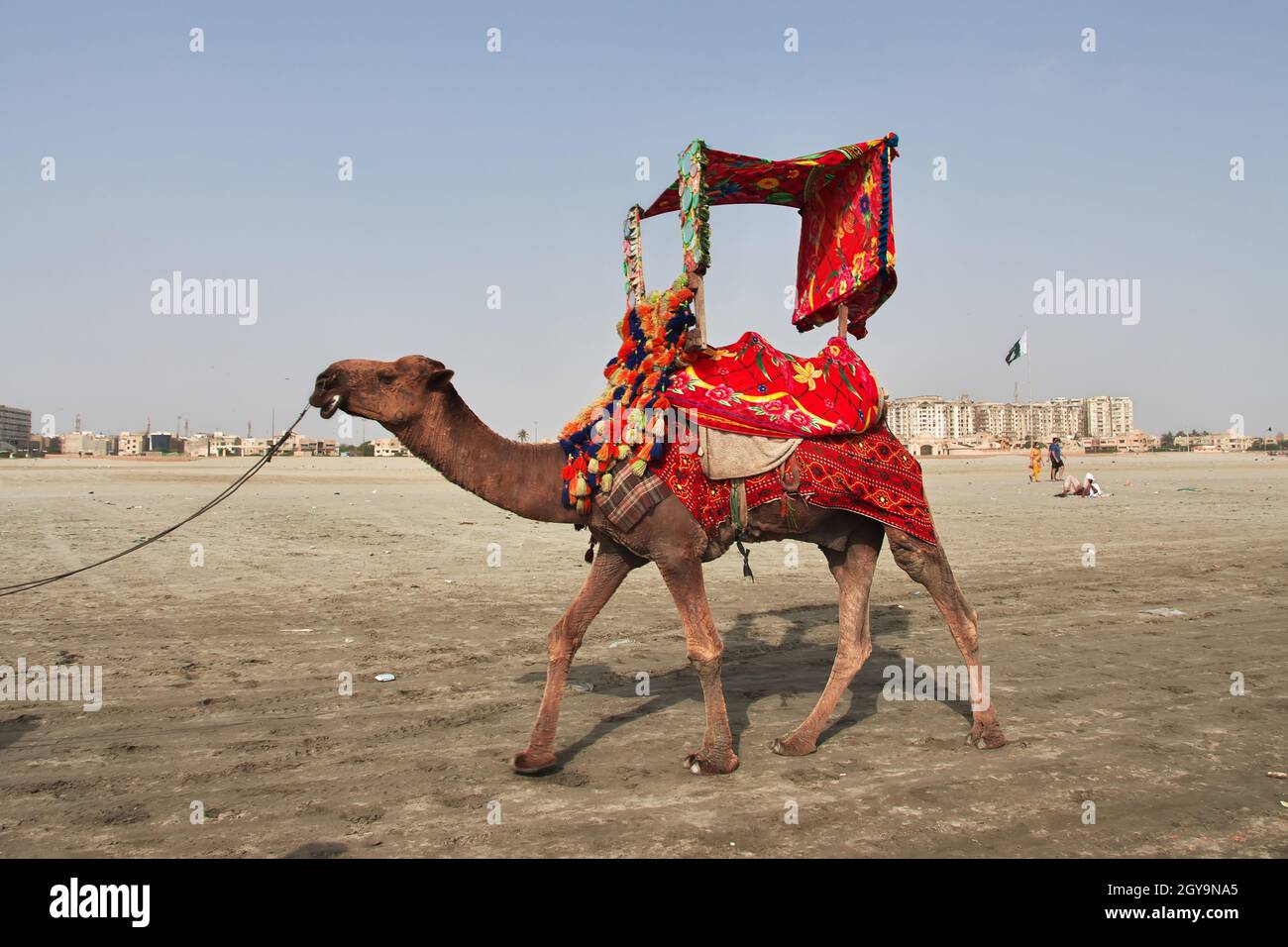 Lifestyle in Clifton Beach in Karachi, Pakistan Stock Photo - Alamy