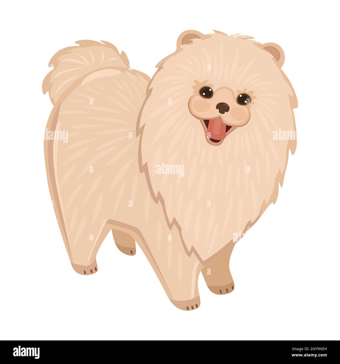 Spitz dog cartoon illustration hi-res stock photography and images - Alamy