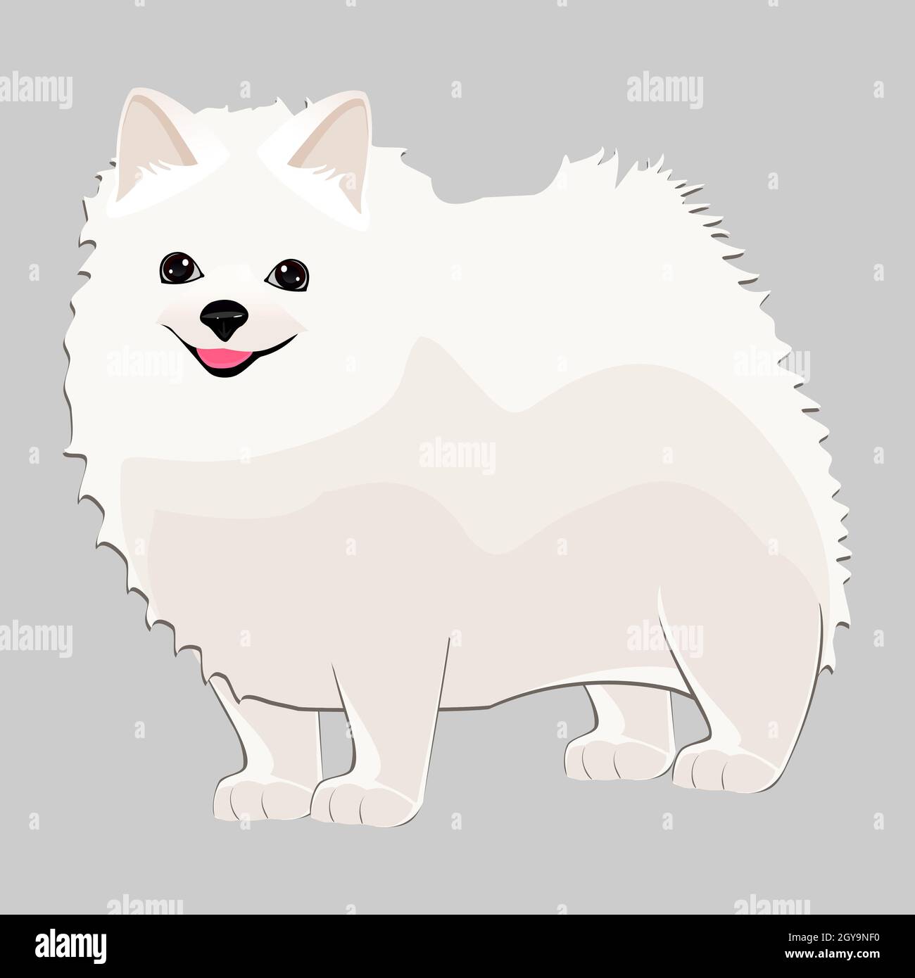 Spitz dog cartoon illustration hi-res stock photography and images - Alamy