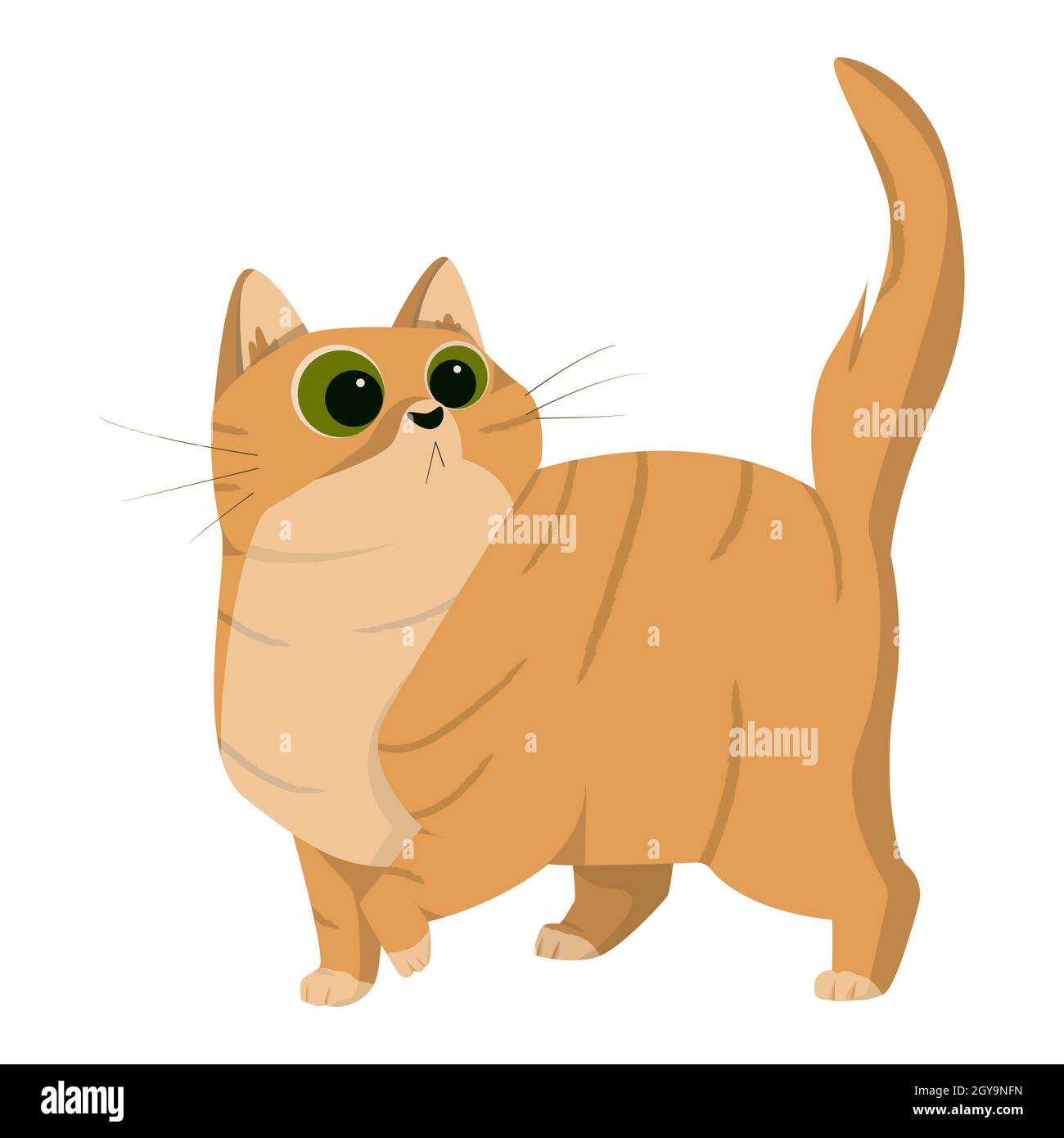 Realistic ginger surprised cat on a white background - Vector ...