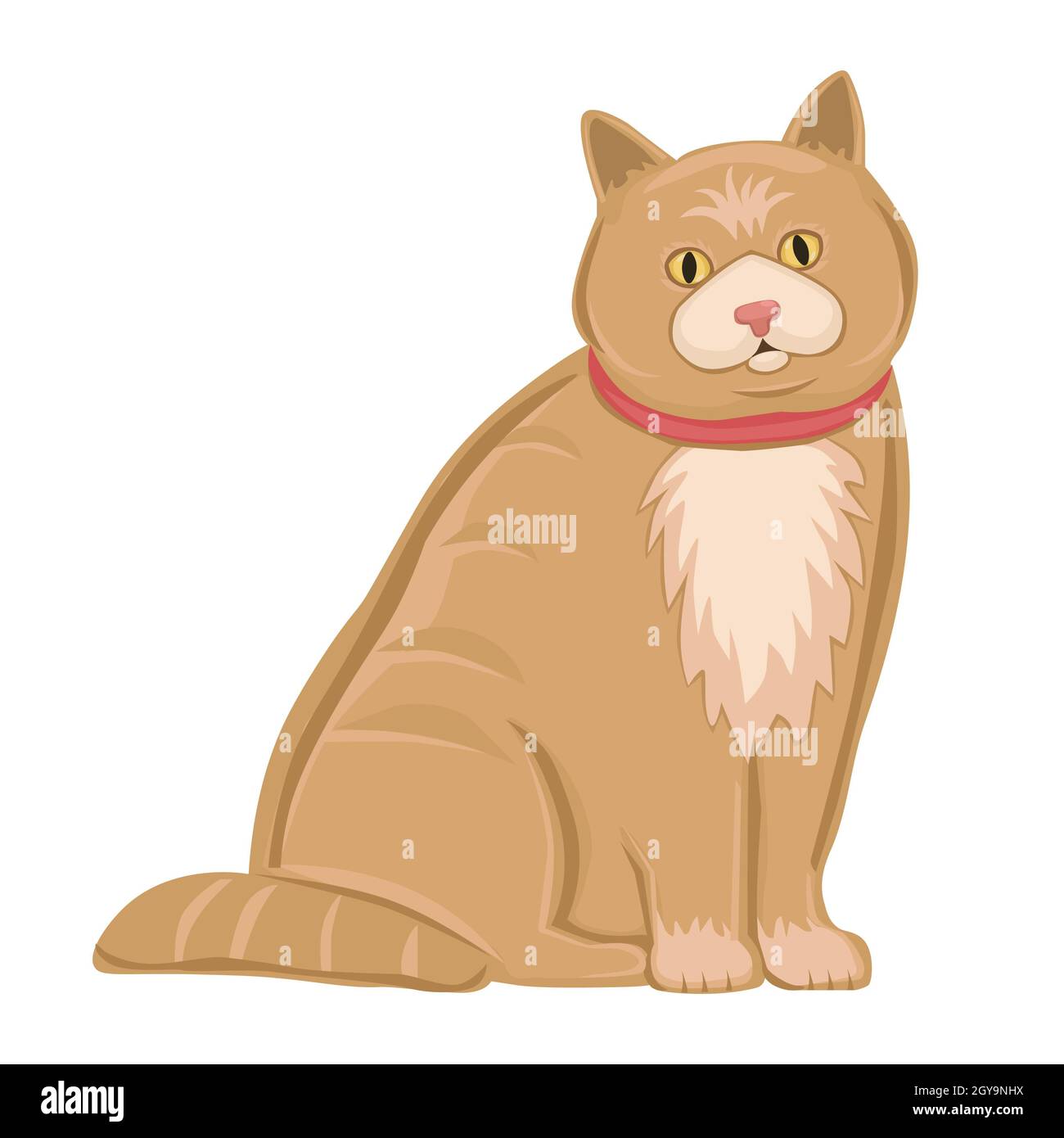 Realistic ginger cat on a white background - Vector illustration Stock ...