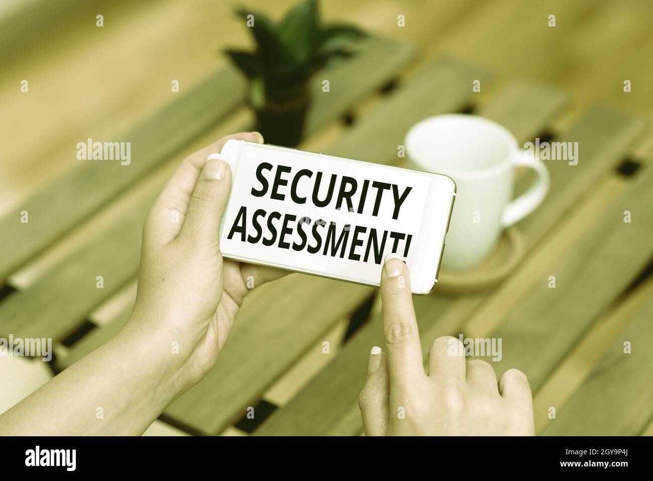 Text showing inspiration Security Assessment, Word for study to locate ...