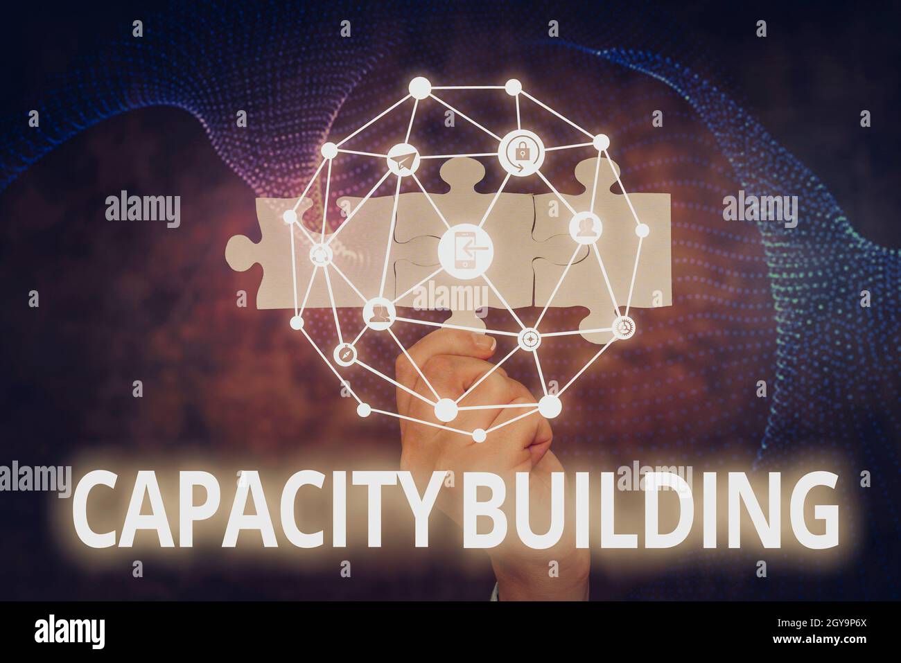 Conceptual display Capacity Building, Business overview Strengthen the ...