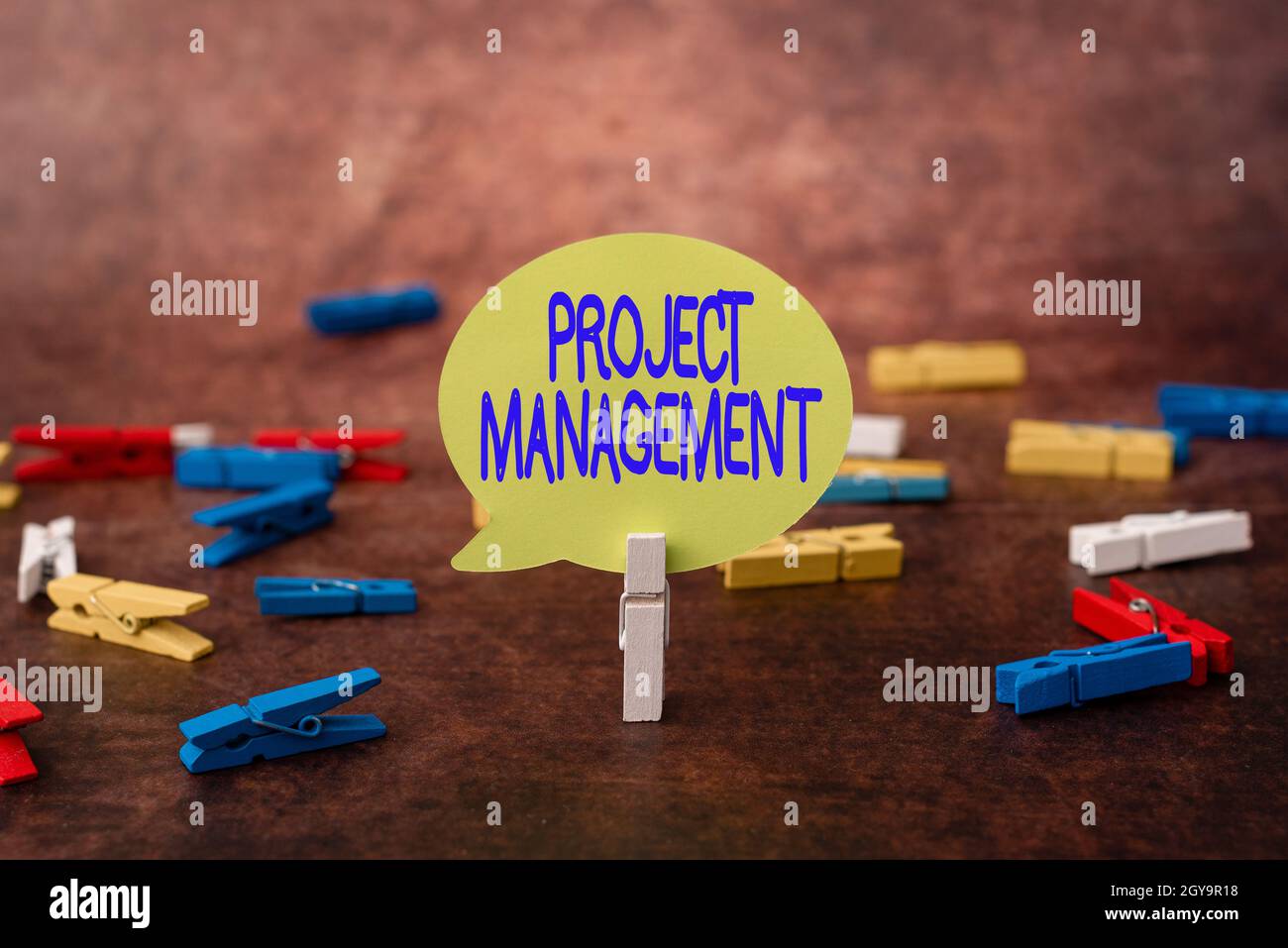 Text caption presenting Project Management, Conceptual photo method of ...