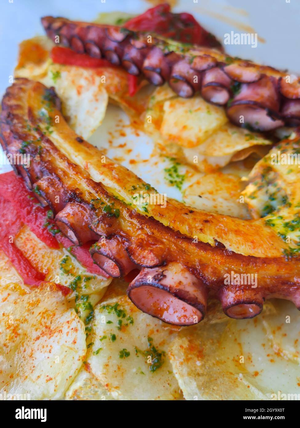 Grilled octopus .Closeup view of healthy seafood .Galician ,spanish and ...