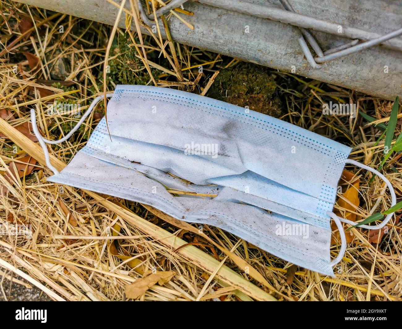 Dirty surgical blue masks on the ground. Corona virus pollution ...