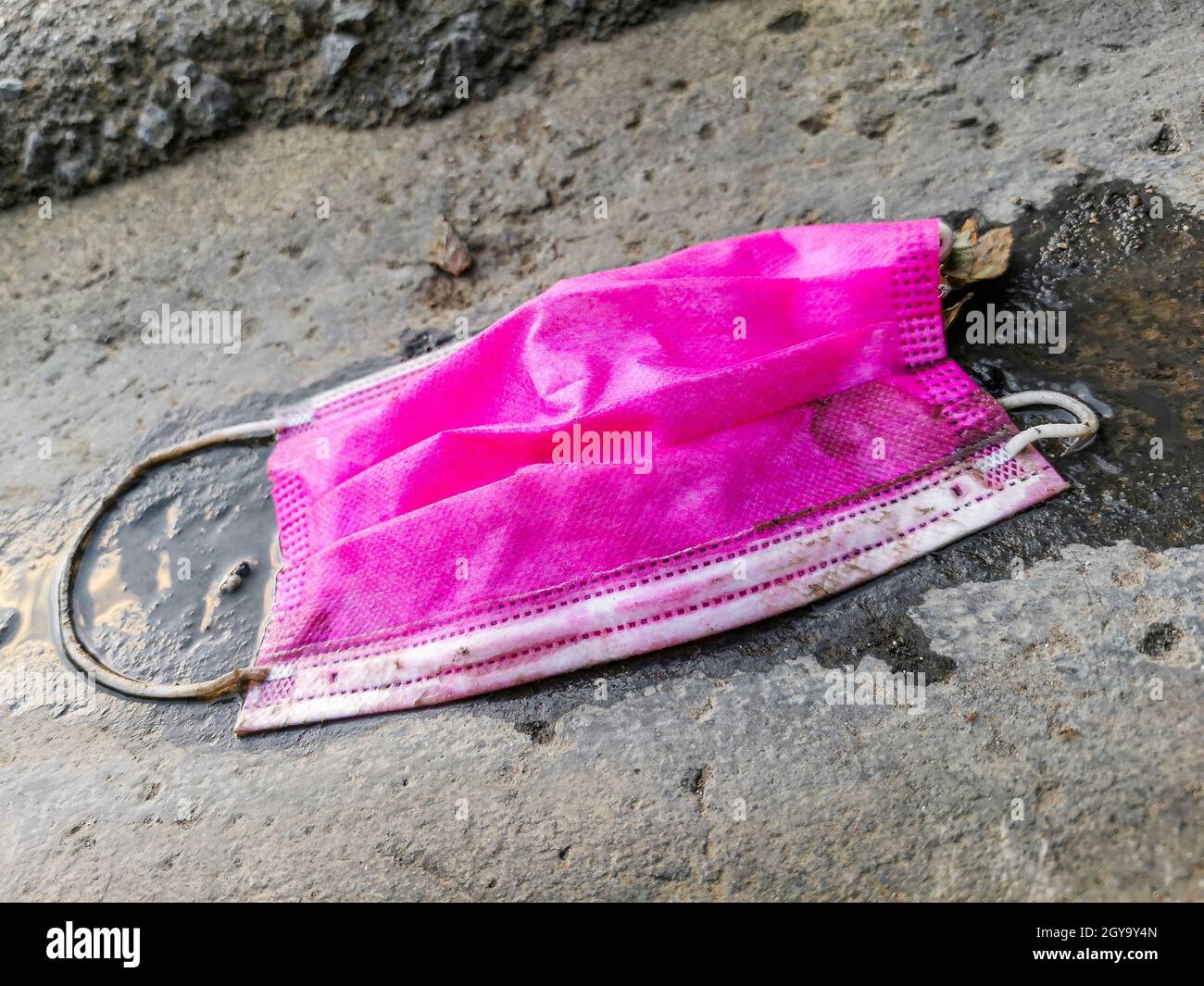 Dirty surgical pink masks on the ground. Corona virus pollution ...