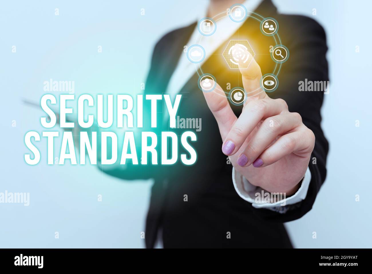 Text caption presenting Security Standards, Business overview the scope ...