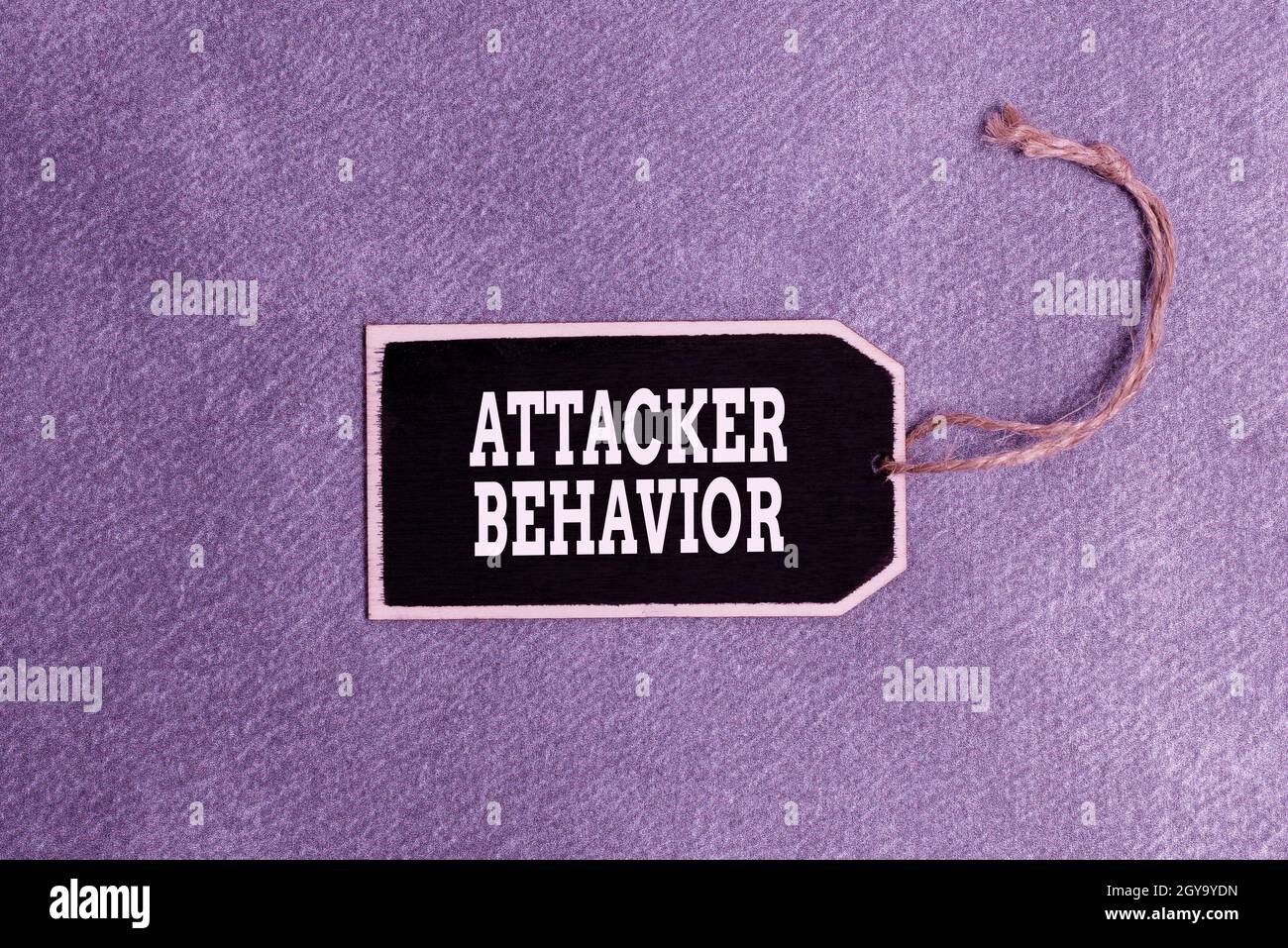 Text Sign Showing Attacker Behavior Business Idea Analyze And Predict The Attacker Behavior Of