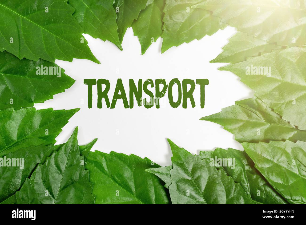 Inspiration showing sign Transport, Business idea carry passengers by ...