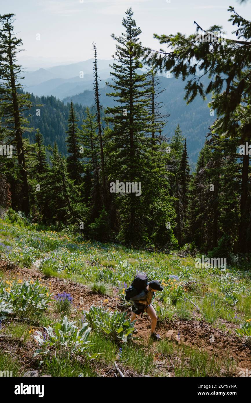 Solo backpacker hi-res stock photography and images - Alamy
