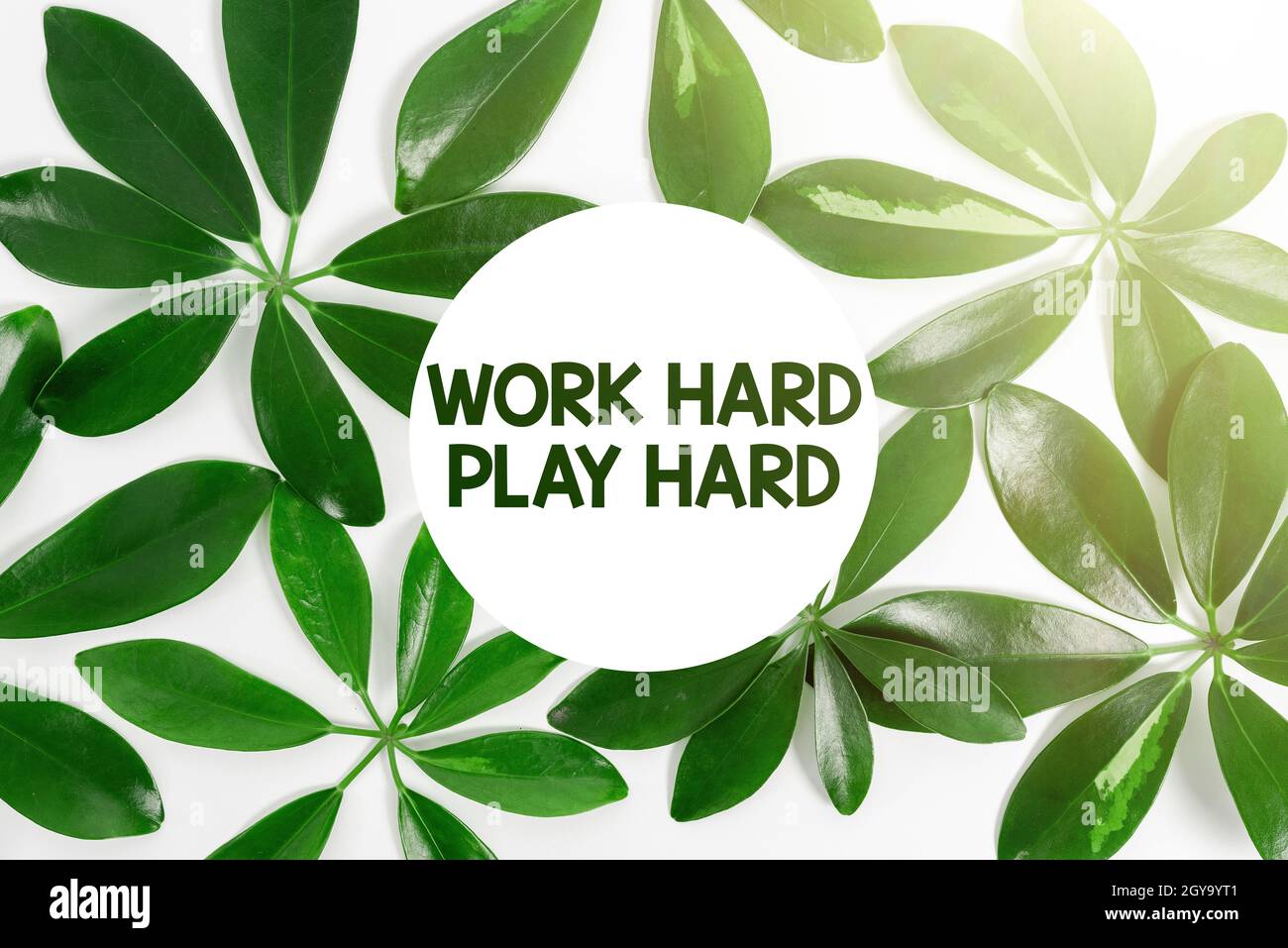 Text sign showing Work Hard Play Hard, Word Written on diligent in any ...