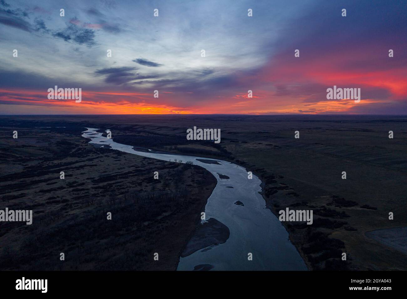 Dinosaur neon hi-res stock photography and images - Alamy