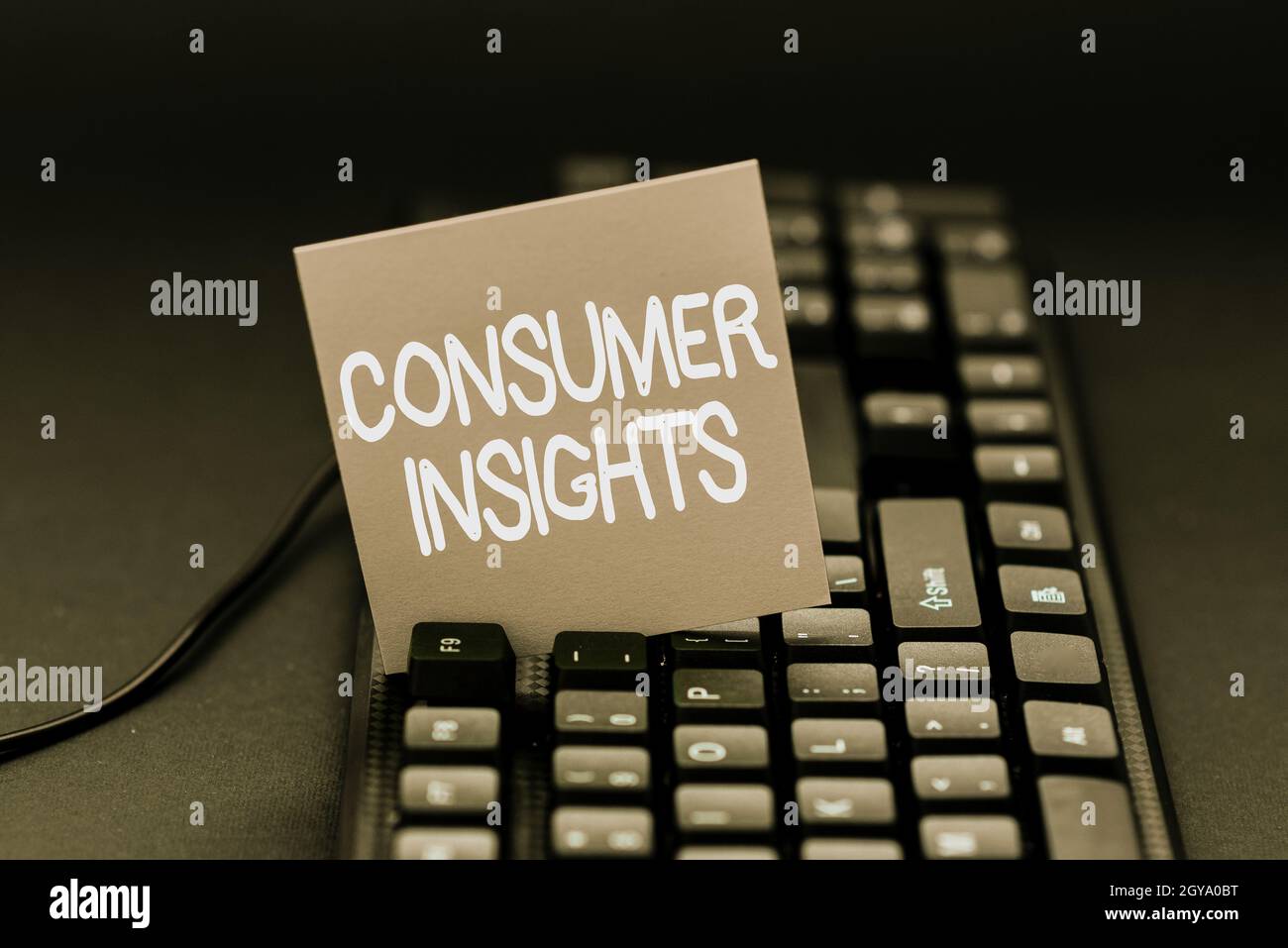 Text showing inspiration Consumer Insights, Internet Concept ...