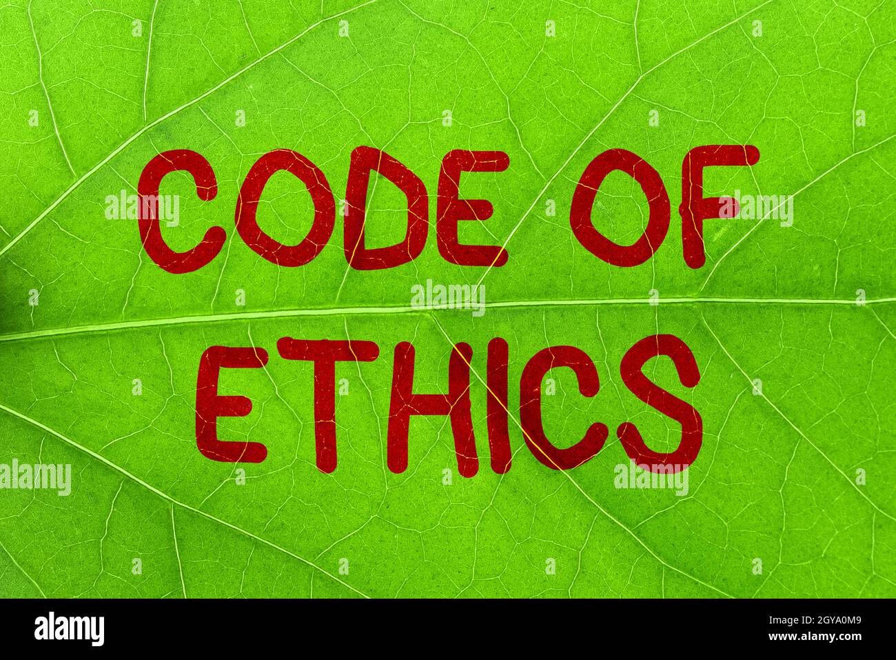 Sign displaying Code Of Ethics, Concept meaning basic guide for ...