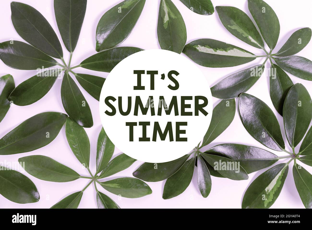 Sign displaying It S Summer Time, Concept meaning season for fun and ...