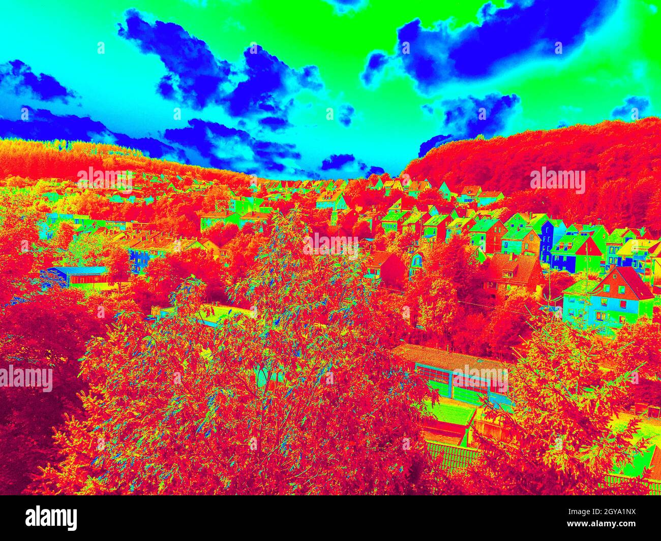 Thermal image recordings of temperature differences in infrared light ...