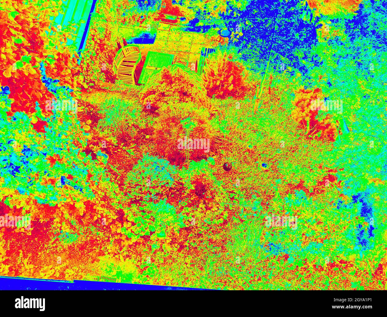 Thermal image recordings of temperature differences in infrared light ...