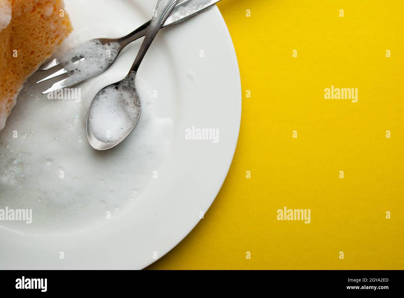 Sponge foam plate brush hi-res stock photography and images - Alamy