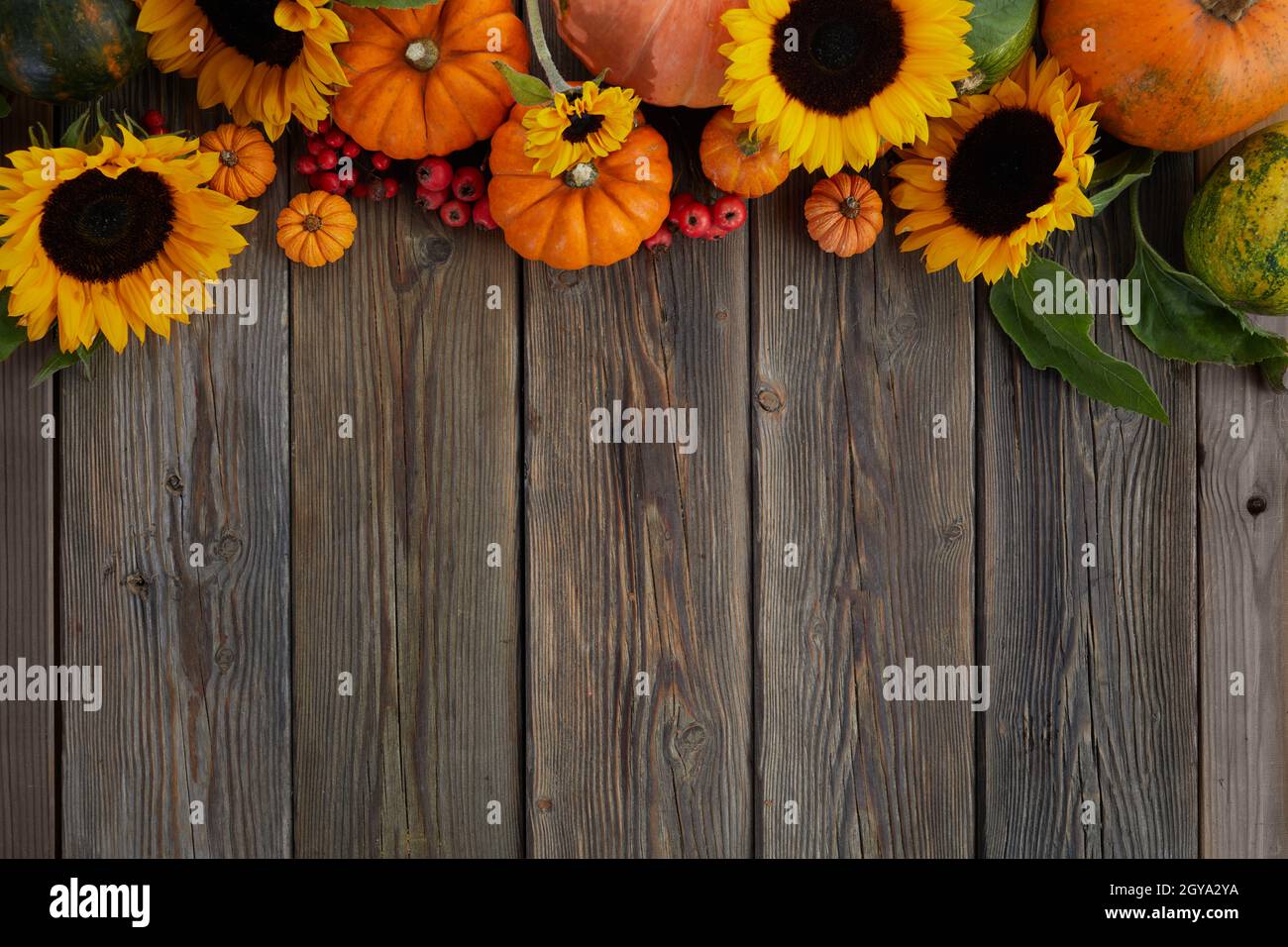 Apple framework hi-res stock photography and images - Alamy