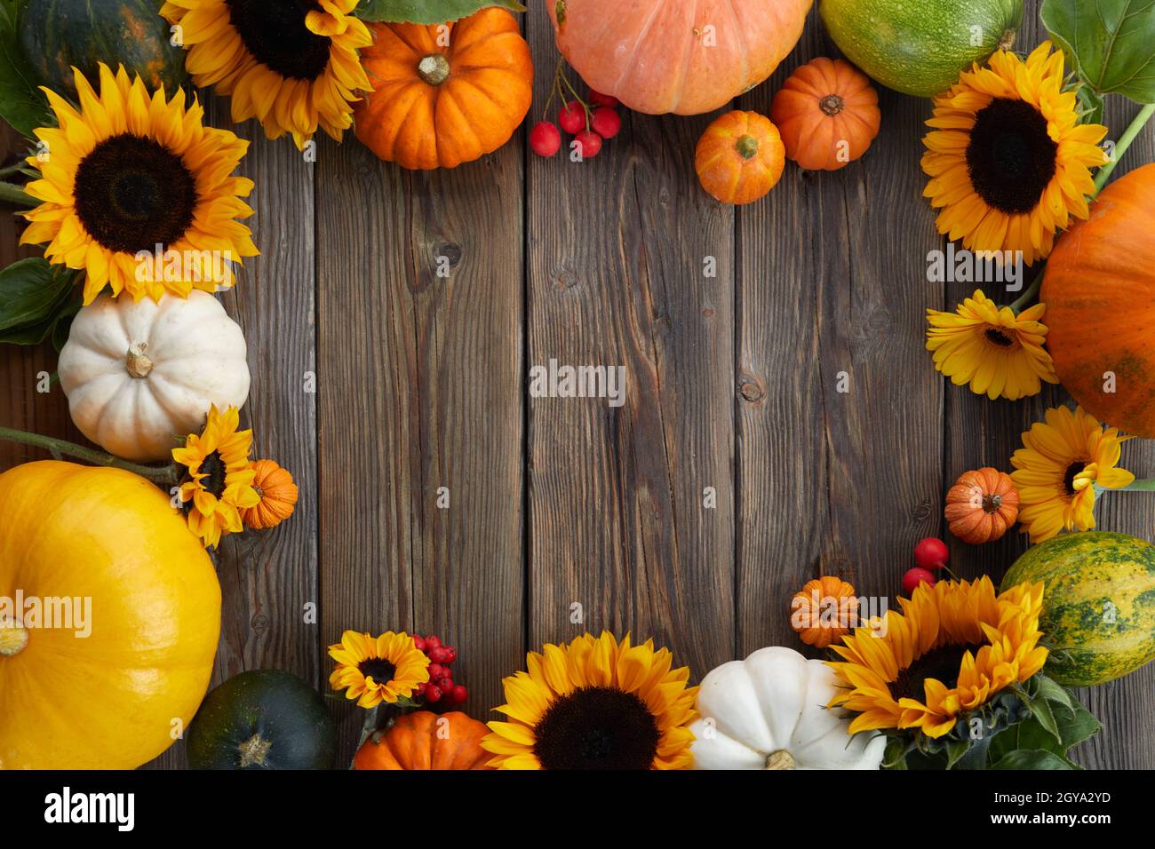 Thanksgiving framework. Flowers, pumpkins and fallen leaves on wooden ...