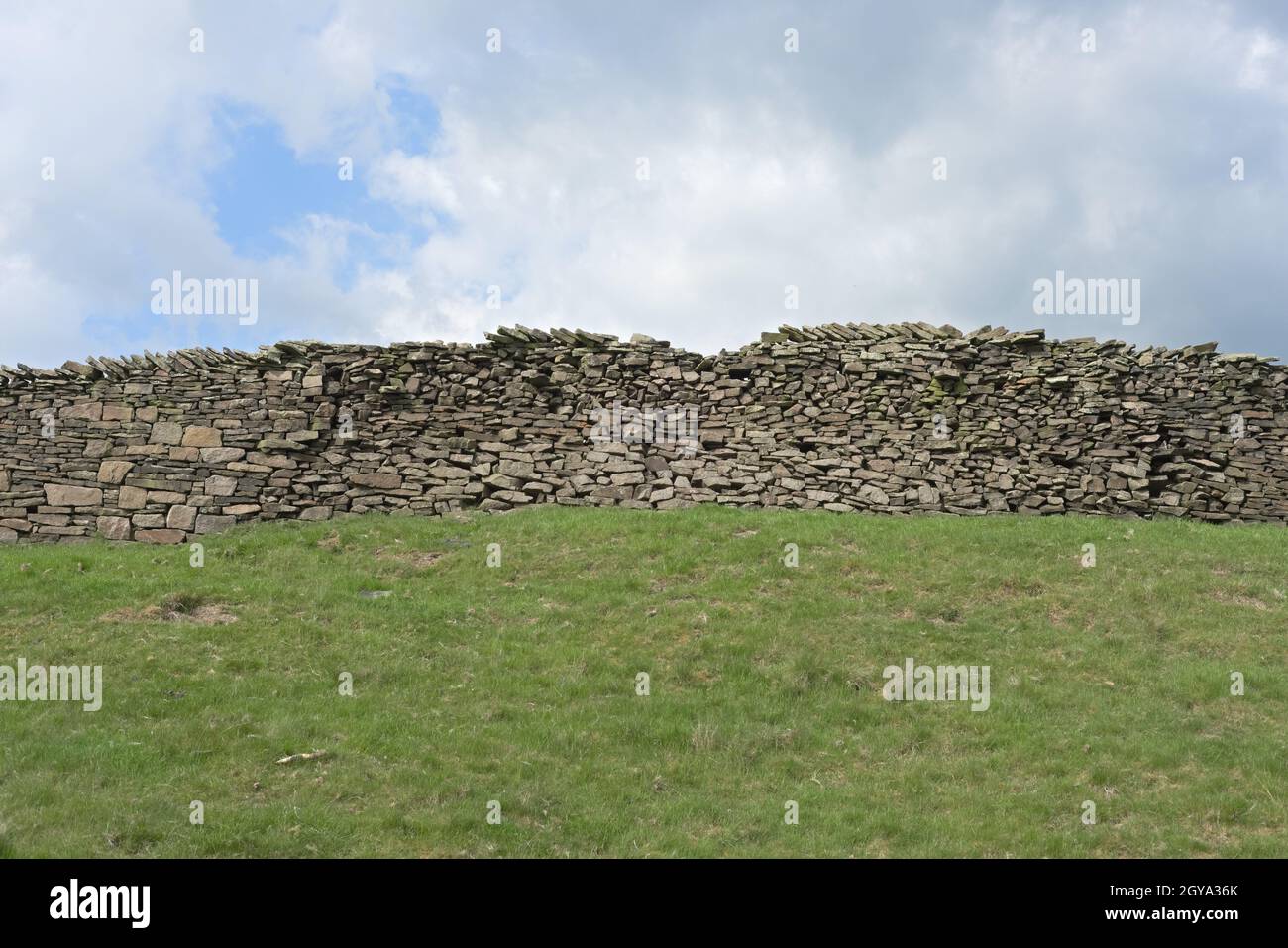 Plain countryside background image consisting of a green grassy field ...