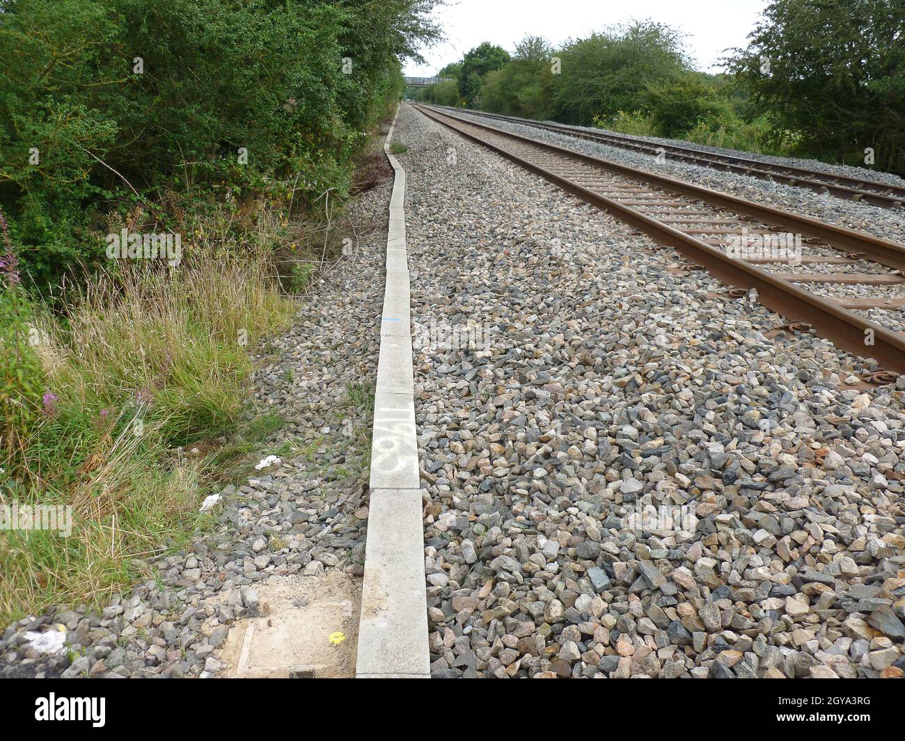 Empty train track surrounded by greenery during daylight Stock Photo ...