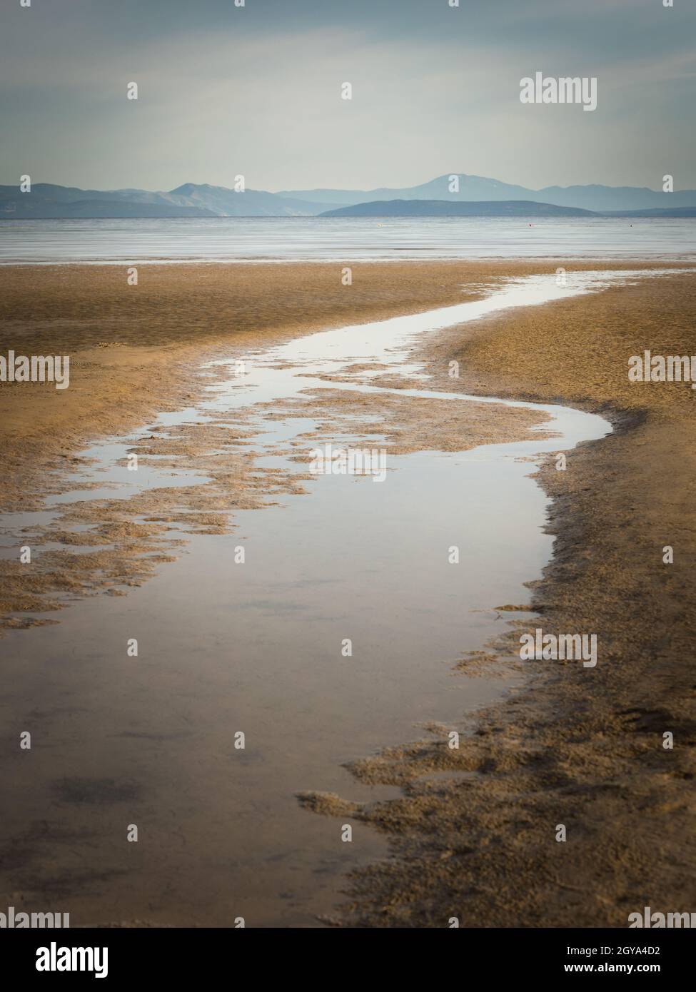 Stream on a beach at low tide Stock Photo - Alamy
