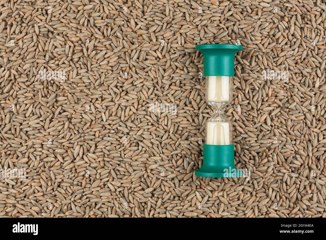 Hourglass and the grain of rye, a conceptual time and food Stock Photo ...