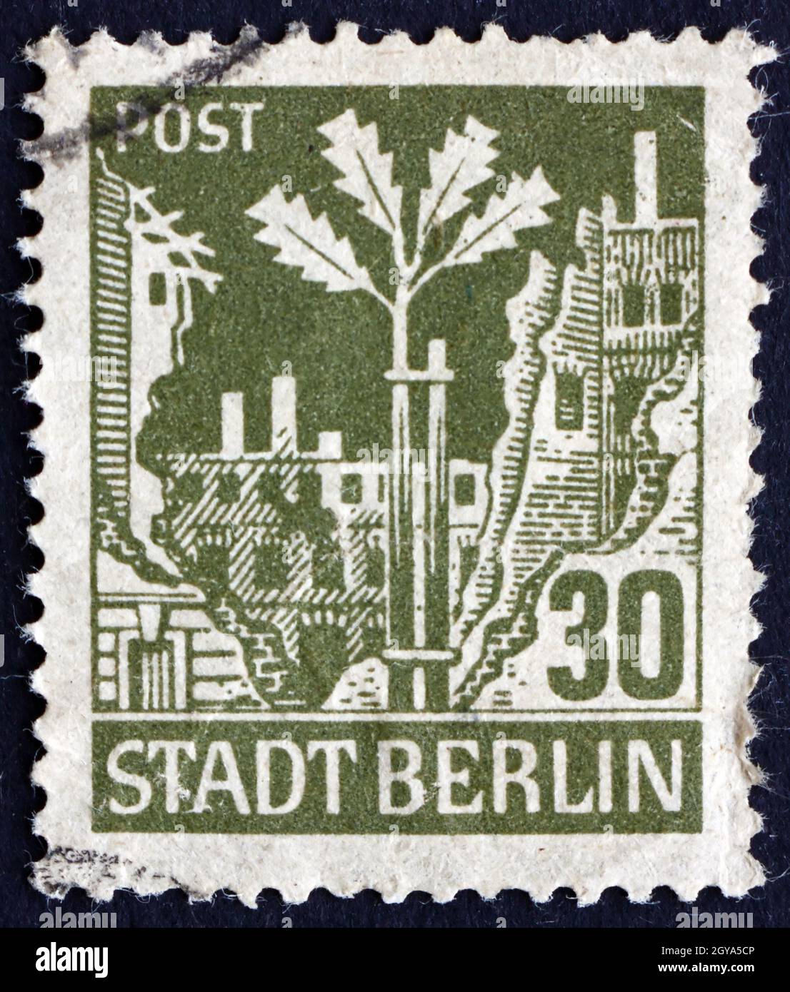 GERMANY - CIRCA 1945: a stamp printed in Germany, Berlin shows Oak ...