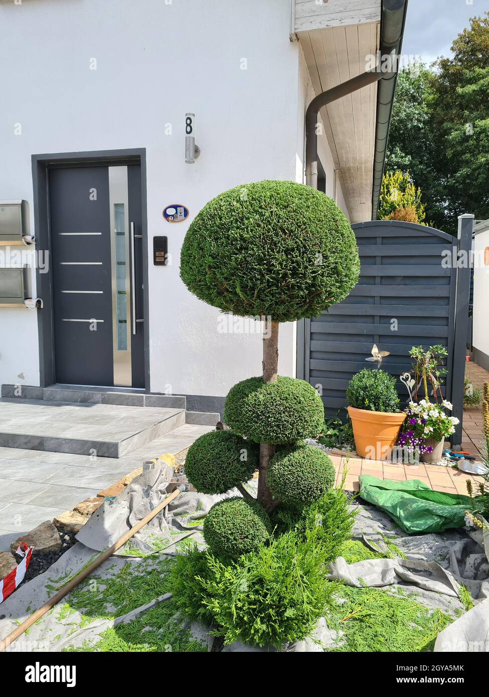 Boxwood hedge wall hi-res stock photography and images - Alamy